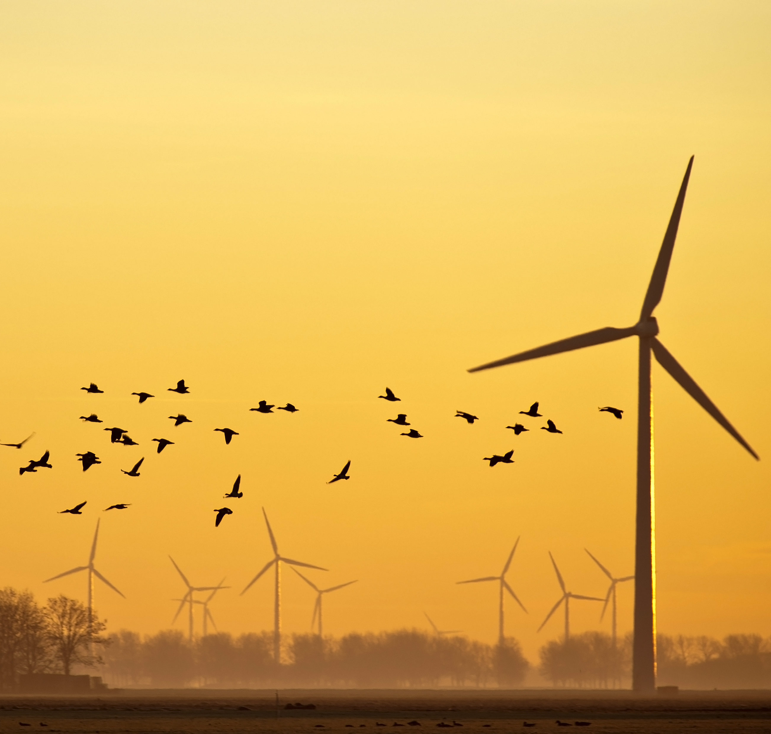 Rural America Keeps Rejecting Big Wind – InsideSources