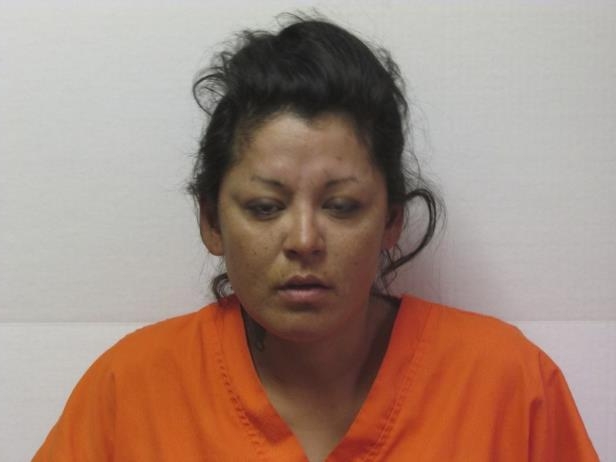 Red Fawn Fallis Takes Plea Bargain in Major #NoDAPL Felony Case ...