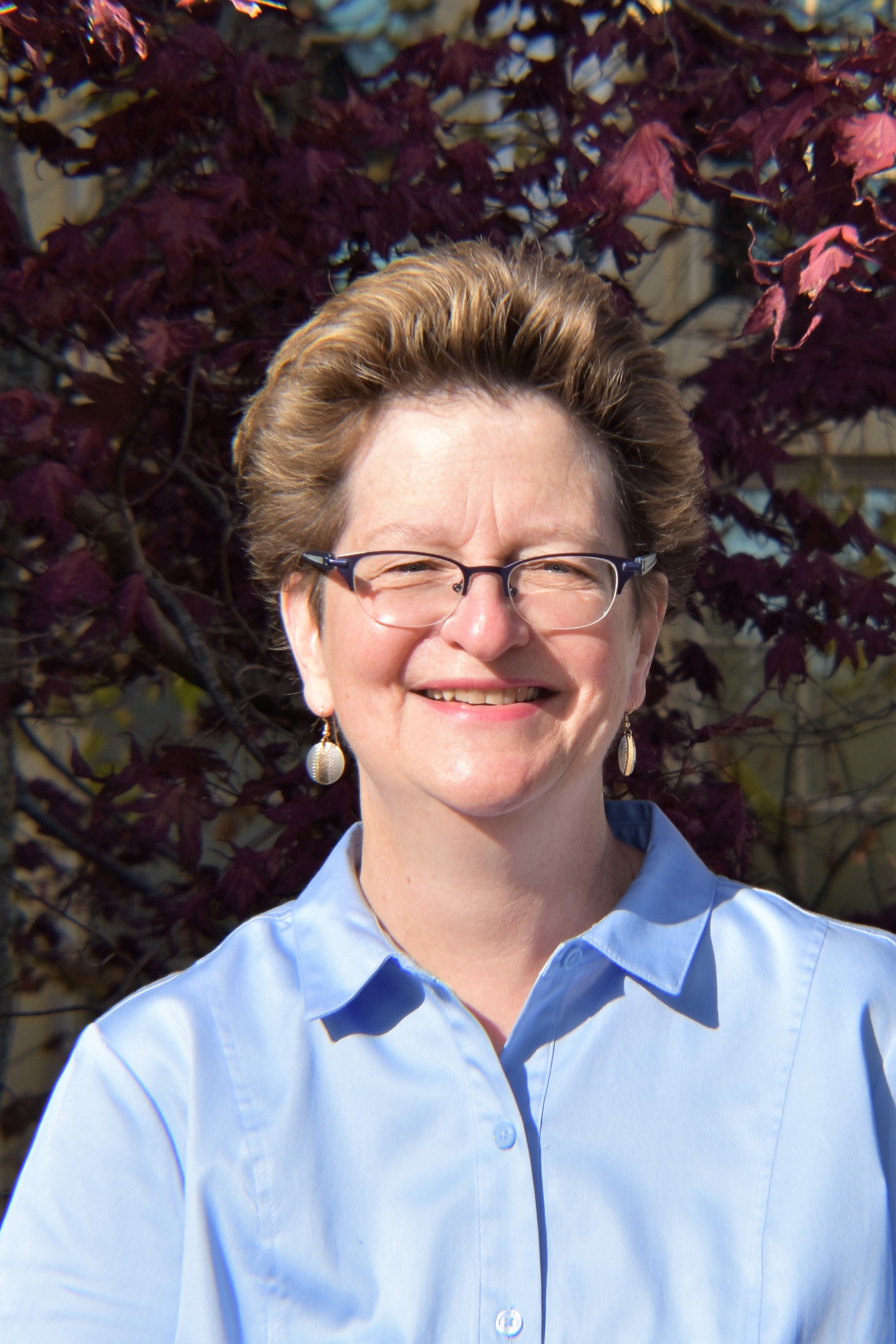 Red Districts, Roaring Economy May Give NHDems the 2020 Blues ...