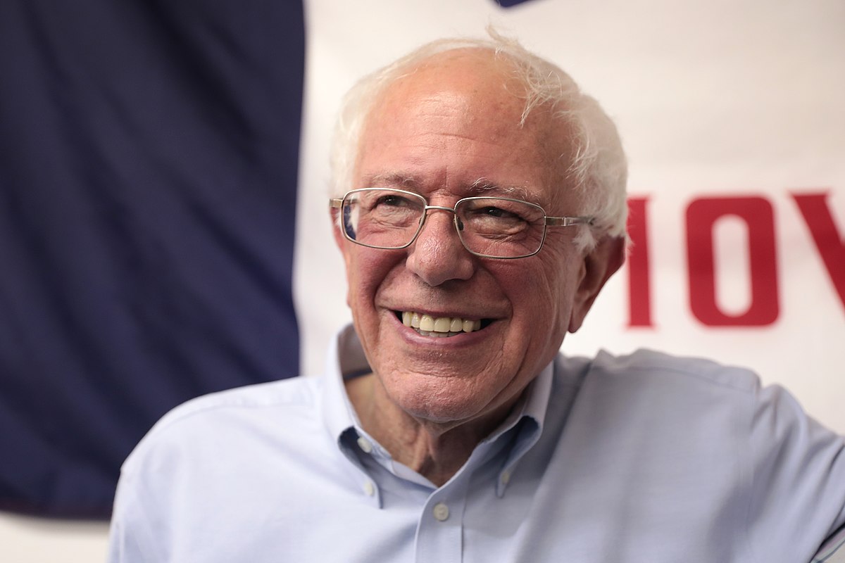 As Pundits Panic Over Sanders Surge, Dem Primary Voters Say 'No Problem ...